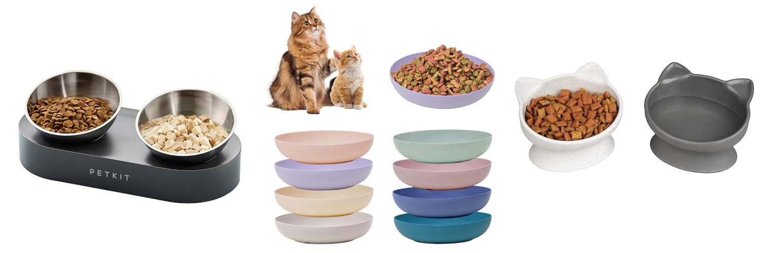 Best Cat Food Dish - Top 5 Picks & Review