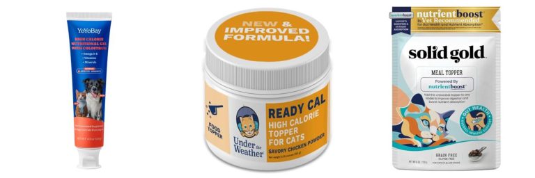 Best Cat Food To Help Cat Gain Weight - Top 5 Picks & Review